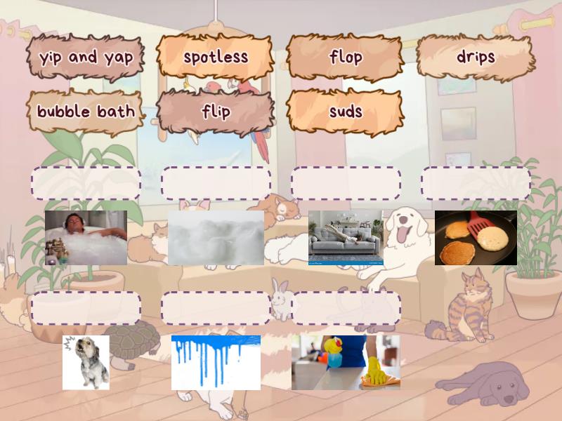 Scamp Gets a Bath - Match up