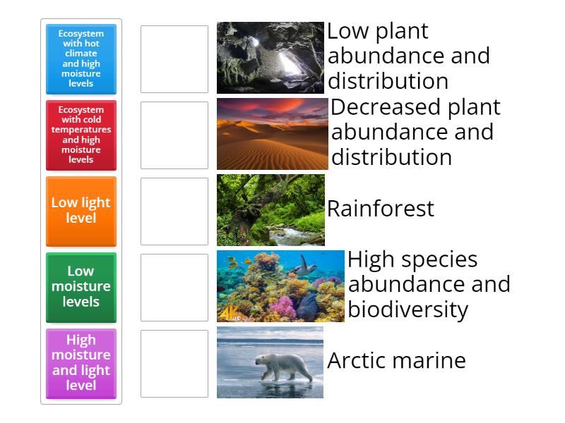 3 Environmental factors - how do they impact species distribution ...