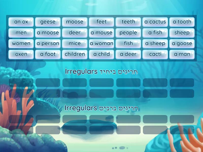 Plural Nouns - Regular and Irregular - Group sort