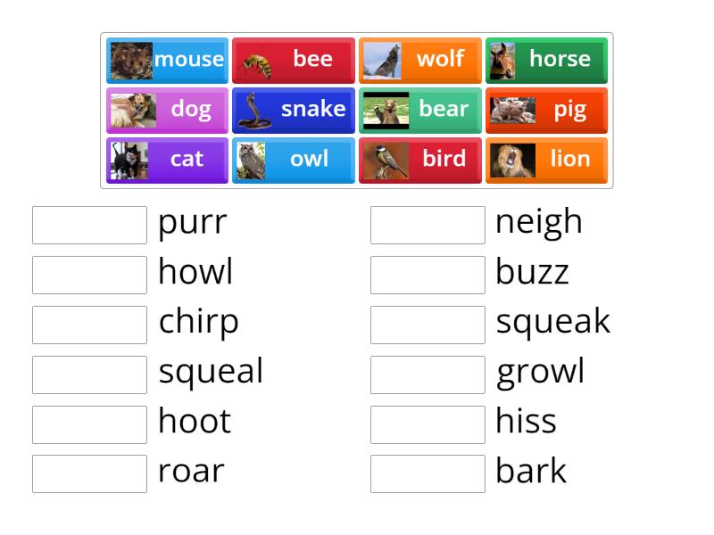 Animal sounds - Match up