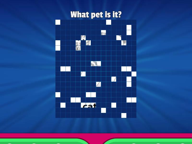 Pets - Acertijo visual