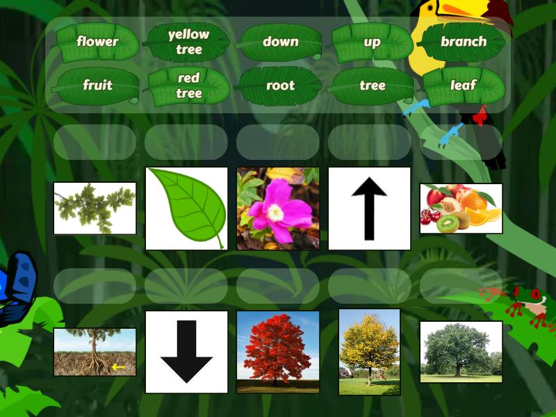 The Fruit Tree - Match up