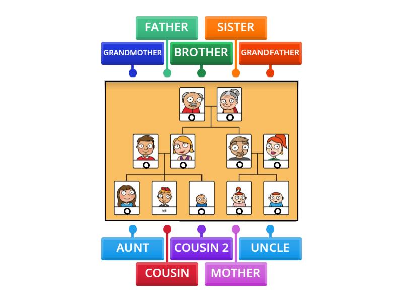 ELD 2 - FAMILY TREE - Labelled diagram