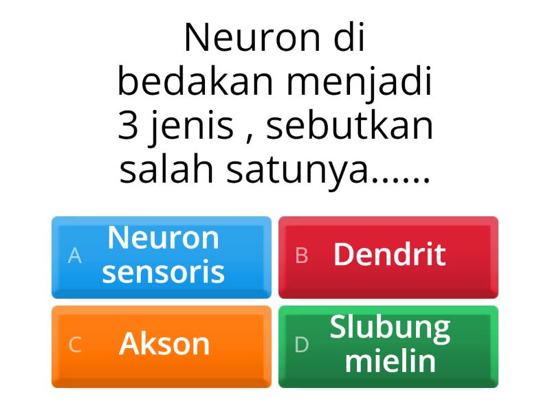 Bab 2 Sistem Kordinasi, Reproduksi, dan Homeostasis Manusia - Quiz