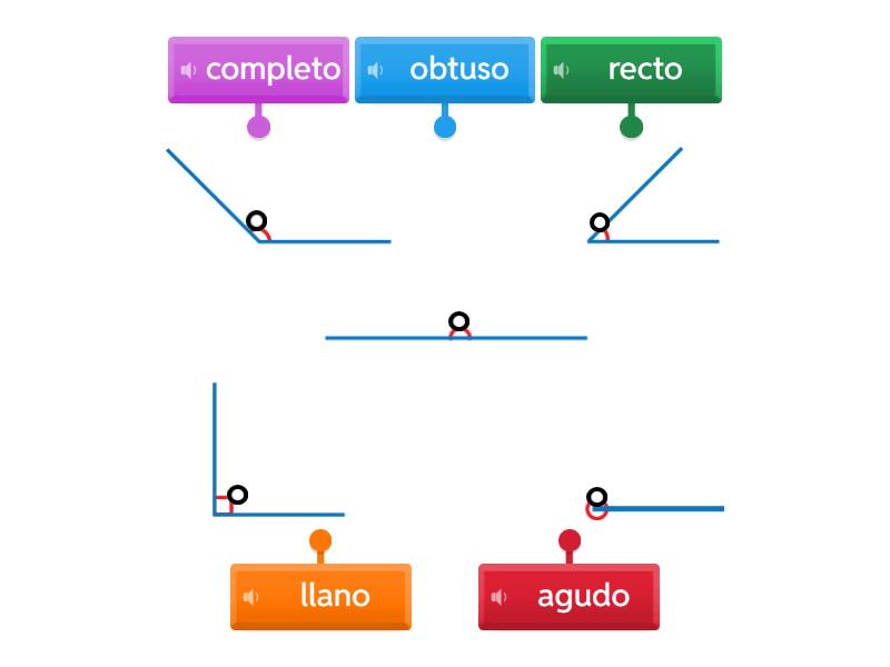 ángulos - Labelled diagram