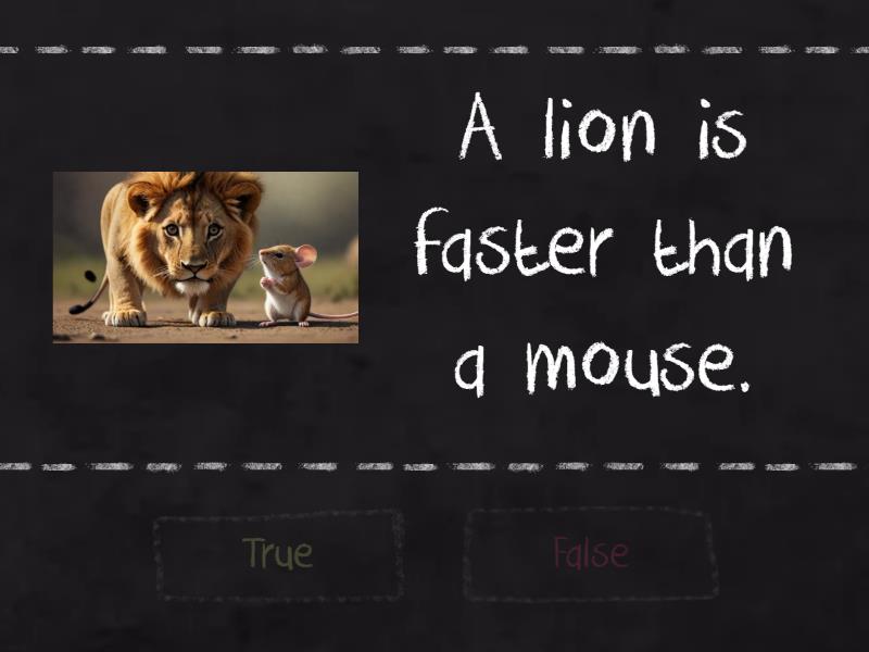 OT3 - Unit 3b, grammar - True or false