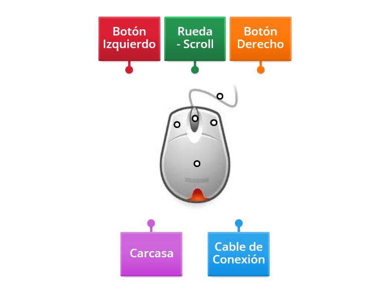 Partes del Mouse o ratón. Grado segundo LBH - Diagrama con etiquetas