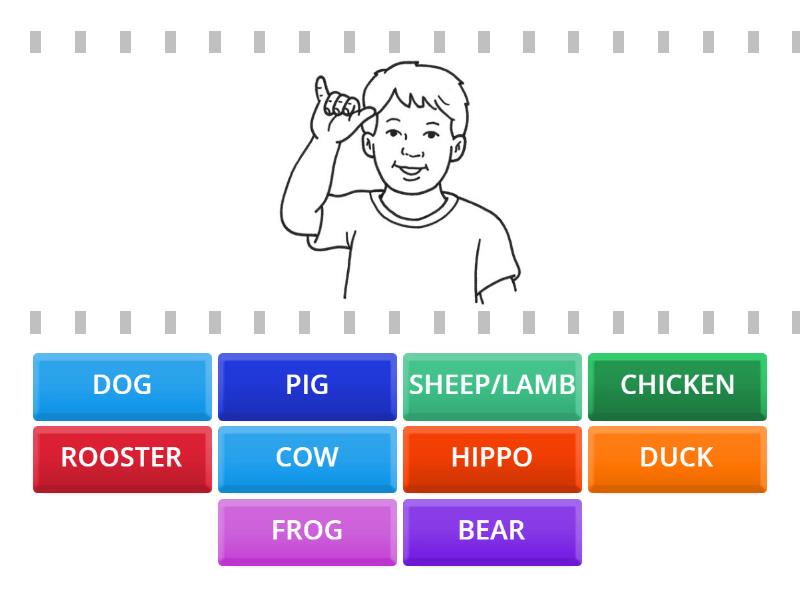 ASL/English Matching Game: Animals - Find the match