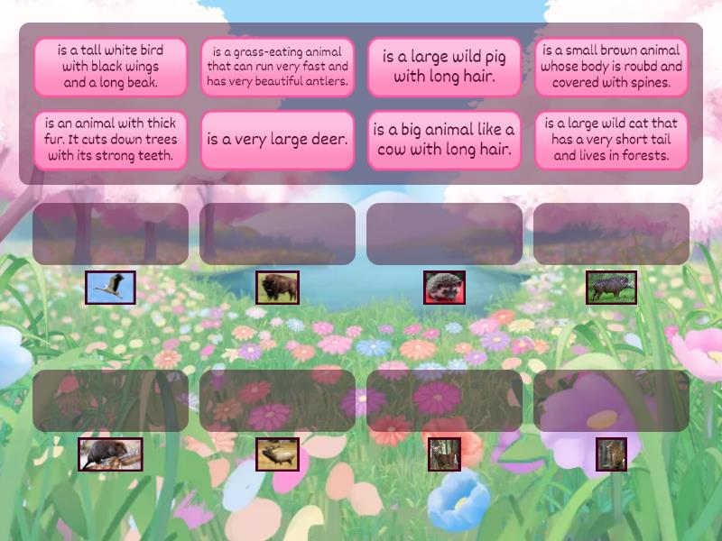 Form 5 Unit 8 Lesson 4 - Match up
