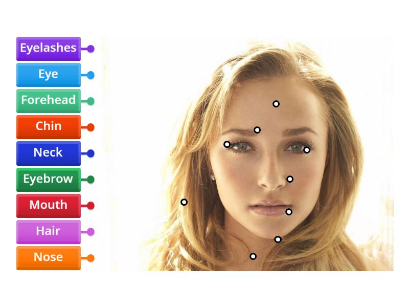 a2.3 Parts of the face - Labelled diagram
