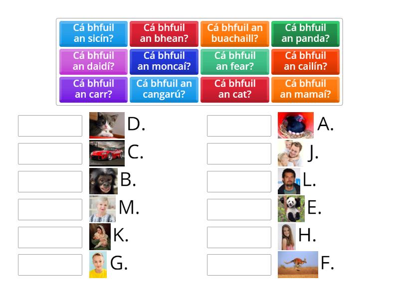 Cá bhfuil an ____? Ceacht 6 - Match up