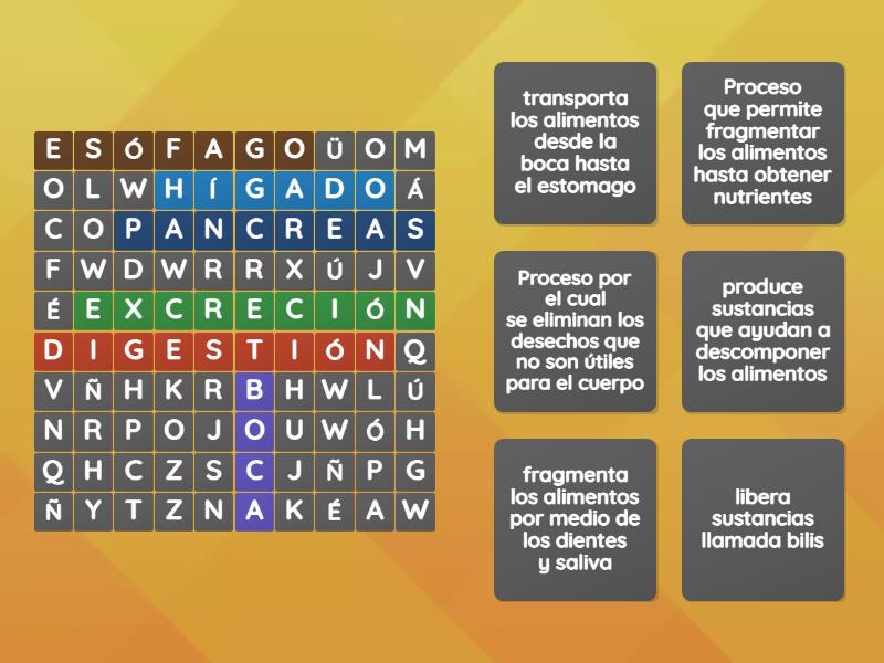 Palabras claves sobre el sistema digestivo - Wordsearch
