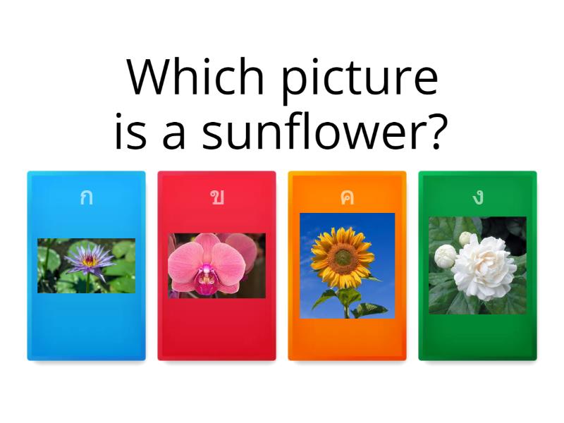 Flowers Grade 4 - Quiz