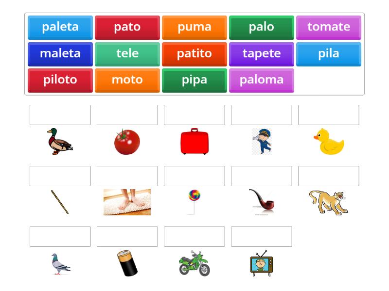 Palabras con m,p,l,t. Lee las palabra y muevela debajo del dibujo ...