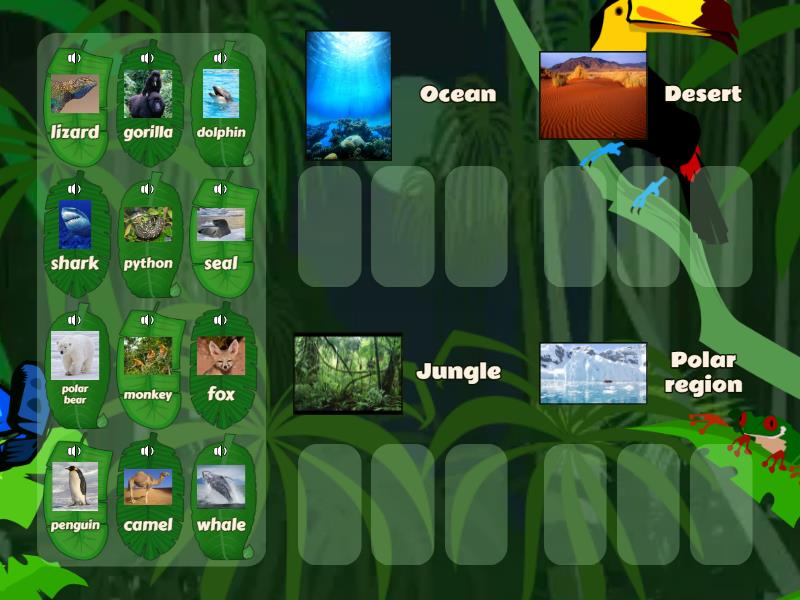 Habitats - Group sort