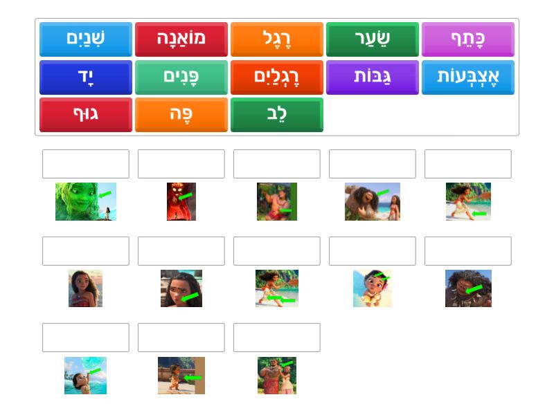 Hebrew Body Parts with Moana - Match up