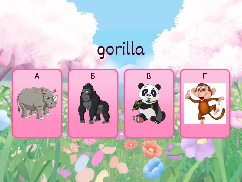 Smart Junior 4 Smart kids - Quiz