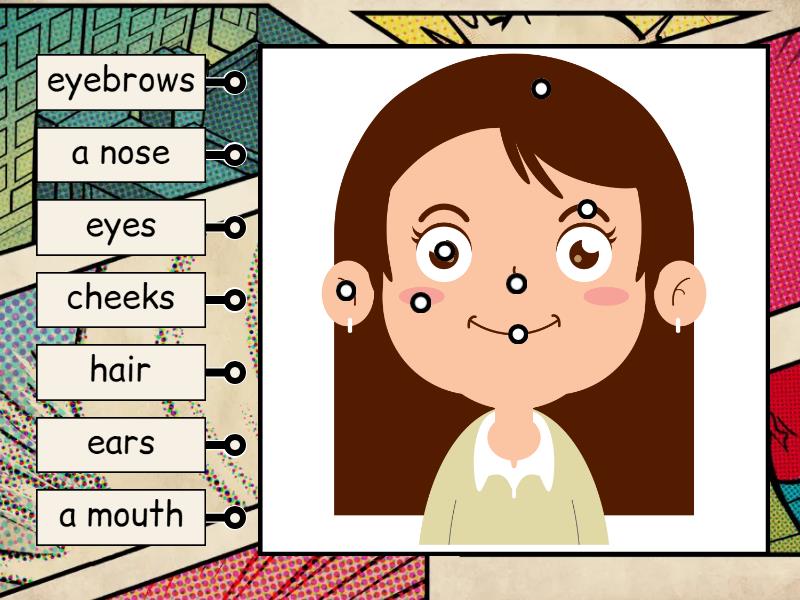 Facial Features - Labelled diagram