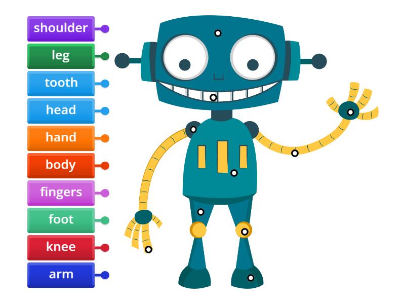 Body parts mouse and me 2 - Labelled diagram