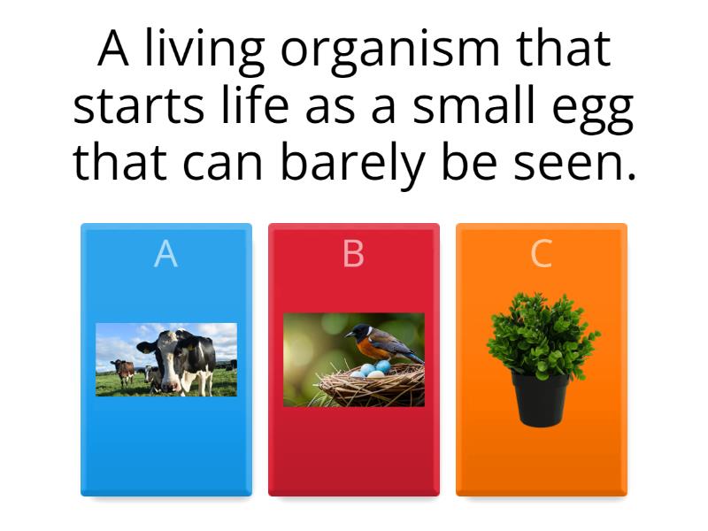 G3 :Topic (5) Life Cycles and Traits : Animal Reproduction - Quiz