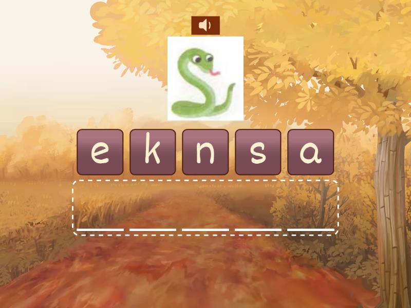 5.SL1-U15 What's this-Look at the pictures. Look at the letters. Order the letters. - Anagrama