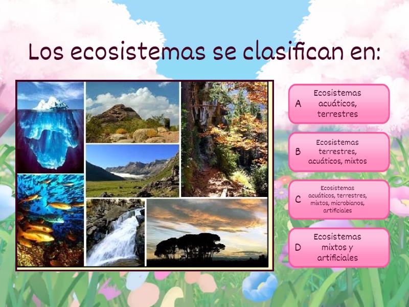 Biomas y Ecosistemas - Kuiz