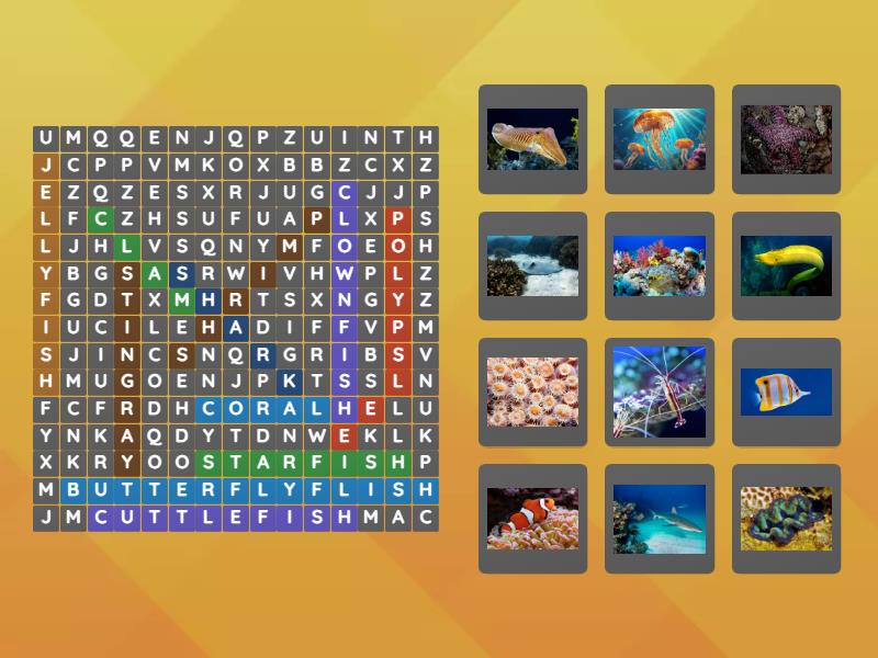 Coral Reef Animals - Wordsearch