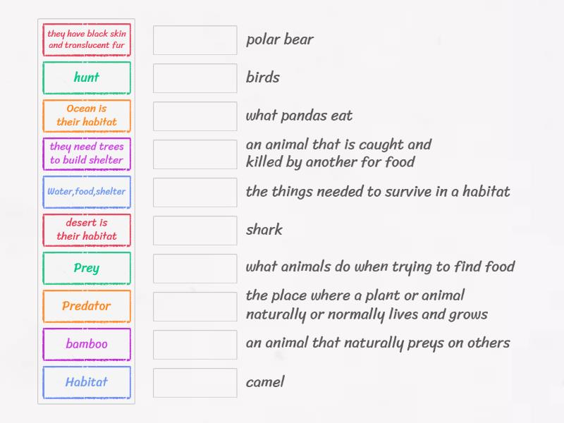 Matching-Habitats 2nd class - Match up