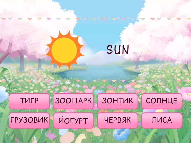 AS1 LETTERS S-Z - Find the match