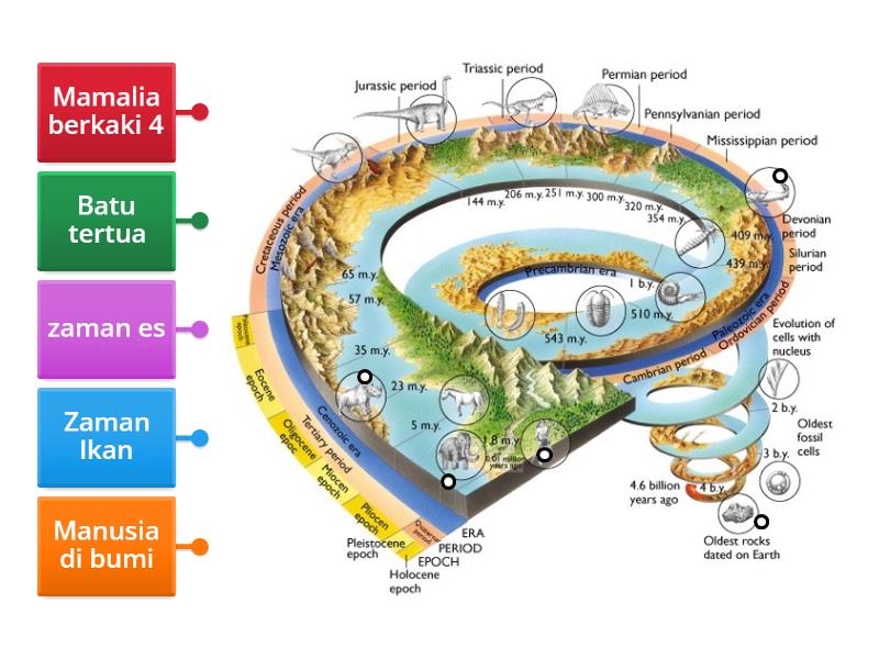 berapa tahun umur bumi saat manusia ada? - Labelled diagram