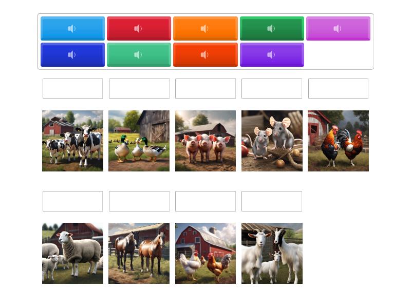 Farm animals - listening - Match up