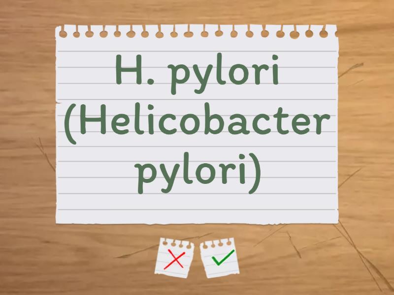 Flashcard Activity - Flash cards