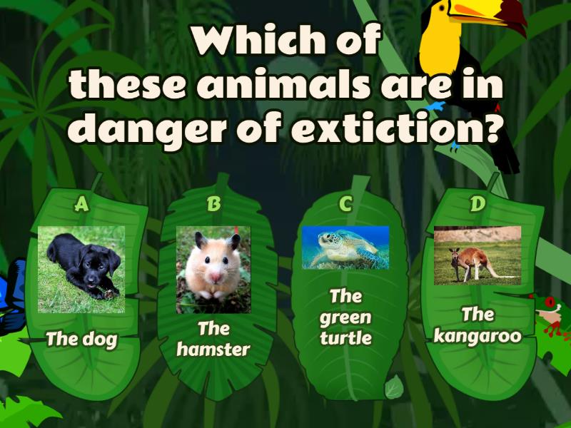 Endangered animals - Quiz