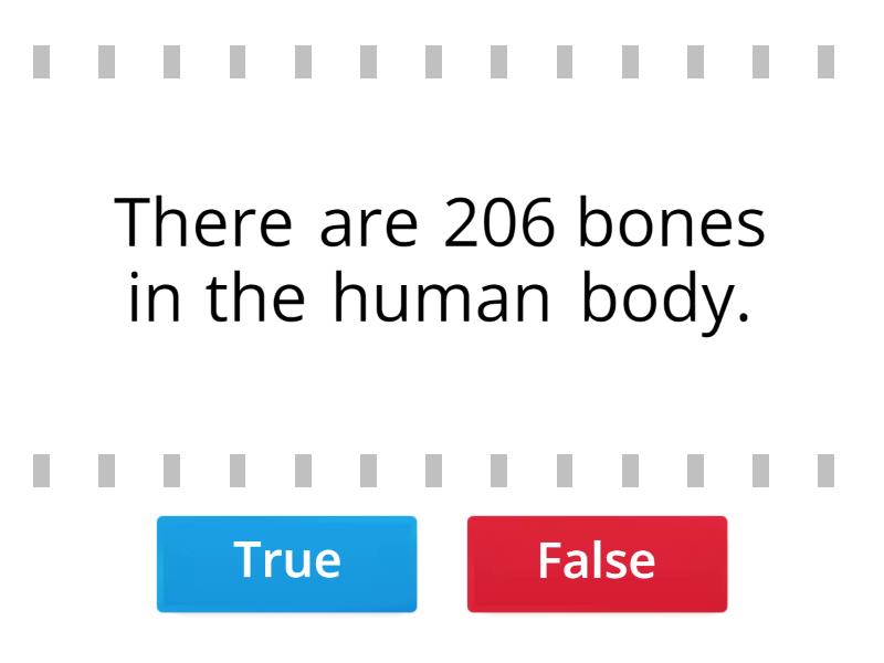 True or False - Skeleton - Verdadero o falso
