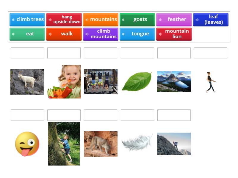 Get Set Go 3 Unit 4 animals/can - Match up