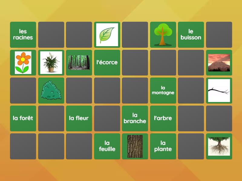 Kids A2.1 part 1 - La nature - Matching pairs