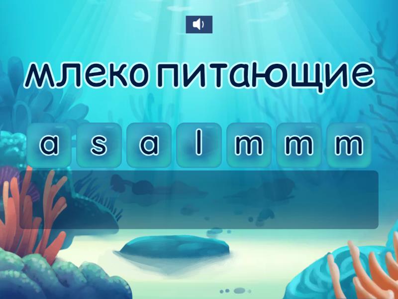 Classification 5 basic - Anagrama