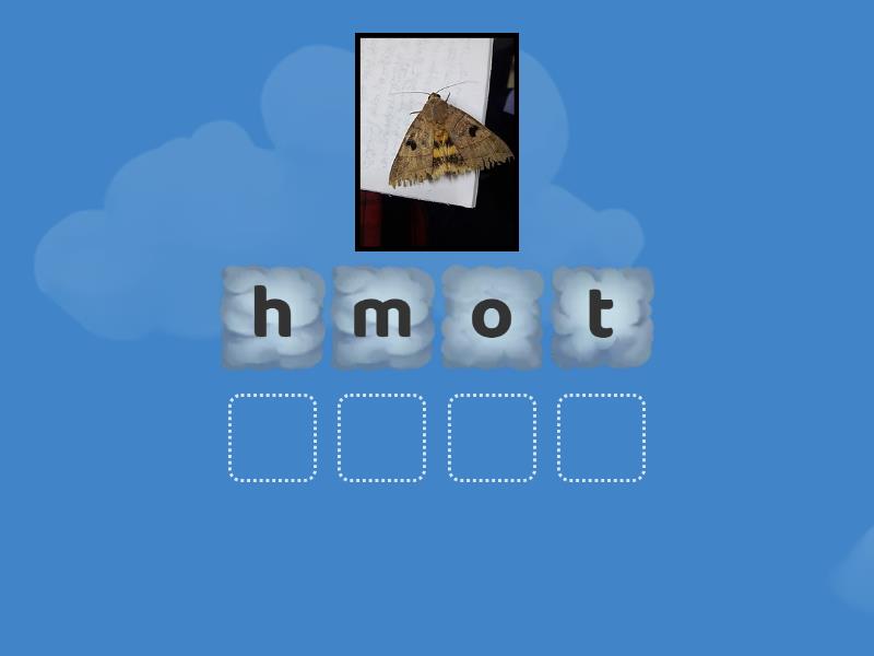 Digraph/CVC Spelling - Anagrama