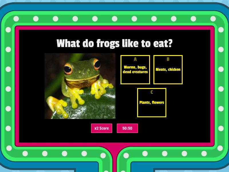 The Frog - Gameshow quiz