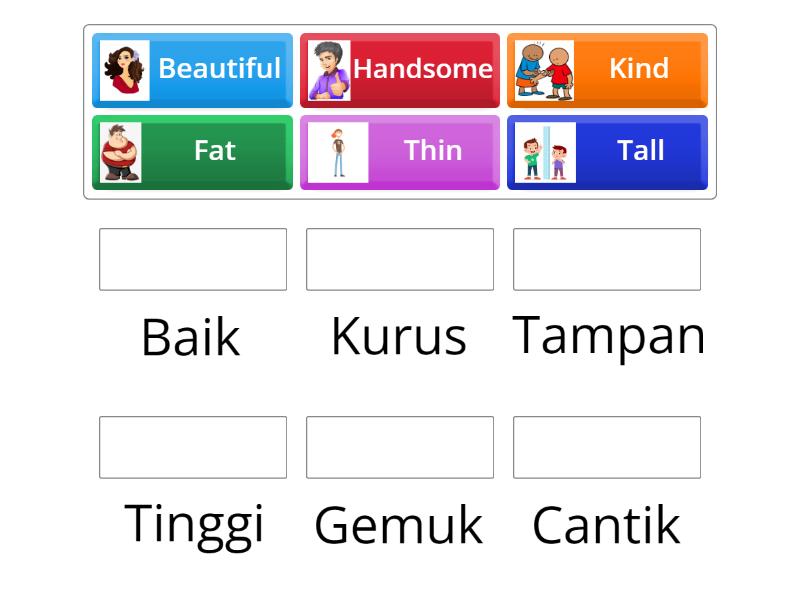 characteristic features - Match up