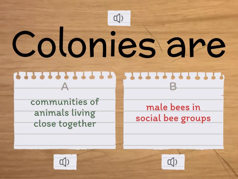 Kn.7, Lesson 4, Social Insects: Bees and Wasps - Quiz
