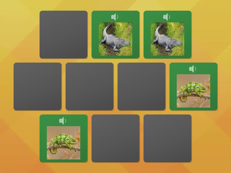 Reptiles - 1 - Matching pairs