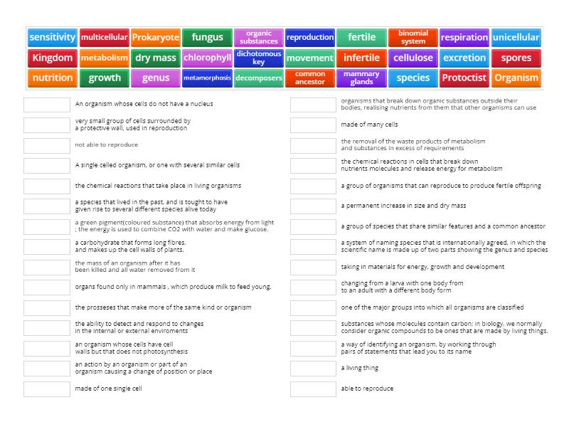 Biology - Key words and definitions - Match up