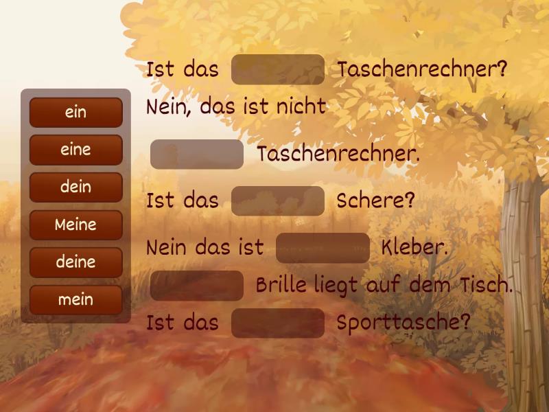 A1.1 Schulsachen (ein/eine/mein/meine/dein/deine) E2 M11 Woche 8 ...