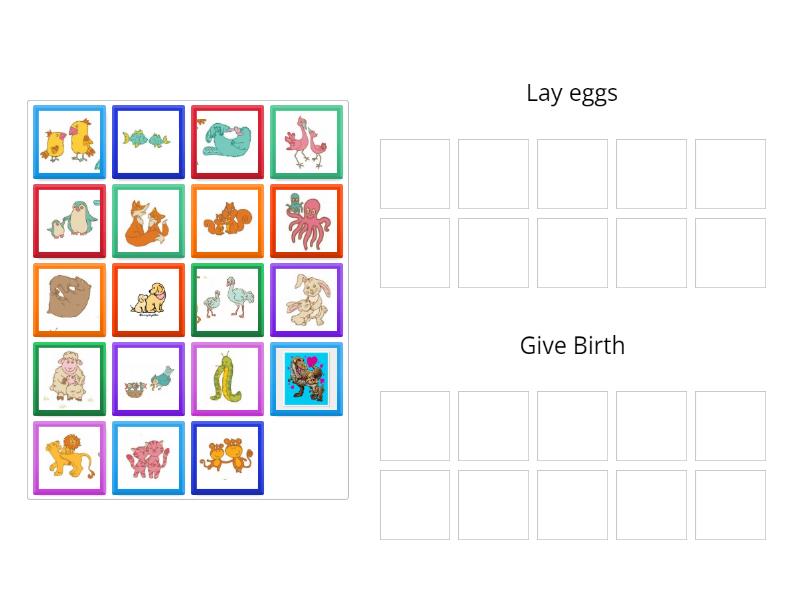 lay eggs/give birth activity - Group sort