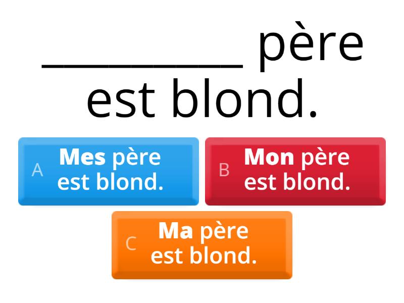 Les adjectifs possessifs et la famille - Quiz