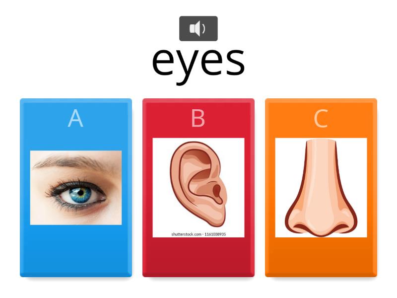 My face! NEA 1 / unit 1 - Quiz