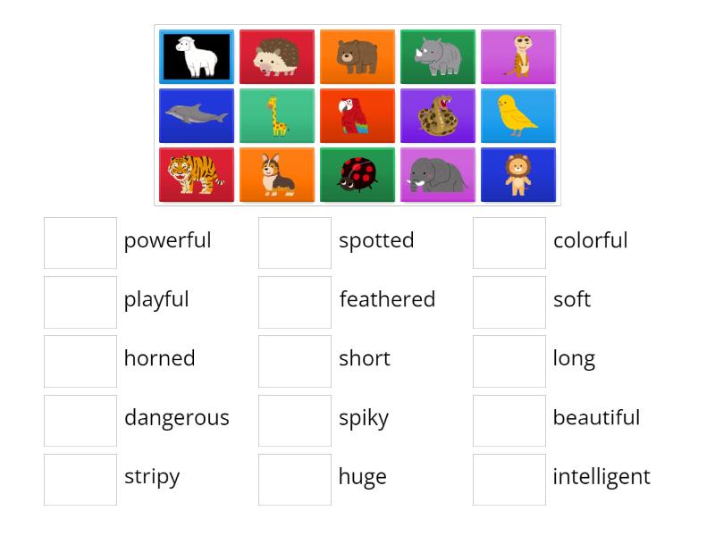 Animal Adjectives Match - Match up