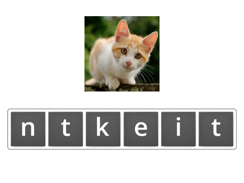 Istation Spelling Vol 4 - Anagram