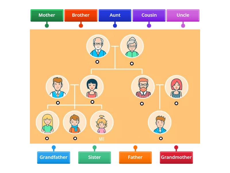 My Family - Labelled diagram
